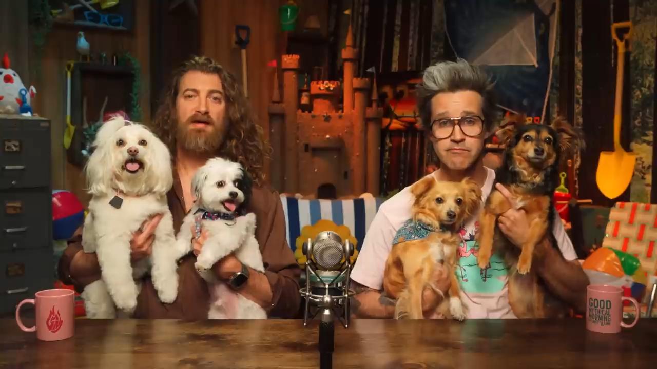 GMM 2859: Trying Viral Pet Products With Our Dogs - Good Mythical Searching
